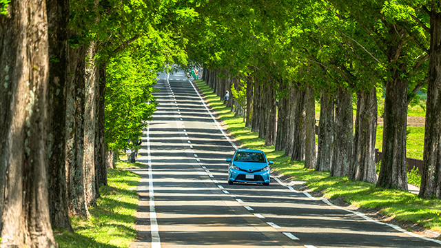 Driving Together: Japan's Collaborative Path to Clean Mobility | Japan ...